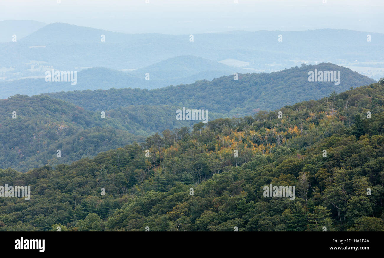 The first colors of fall are seen in the landscape, marking the ...