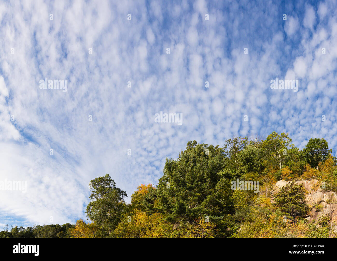 Early summer panorama features hi-res stock photography and images - Alamy