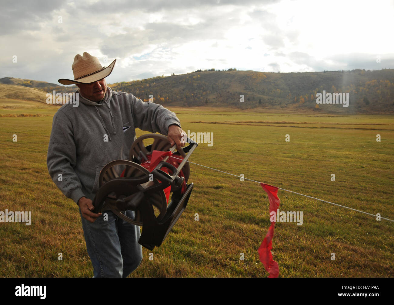 The USDA Wildlife Services investigates and manages predator attacks on ...