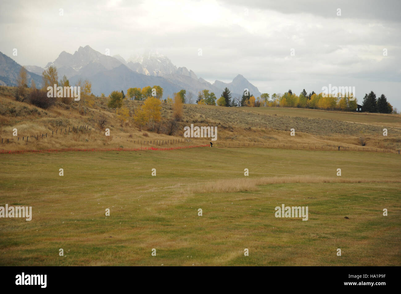 This image depicts USDA Wildlife Services' intervention at Walton Ranch ...