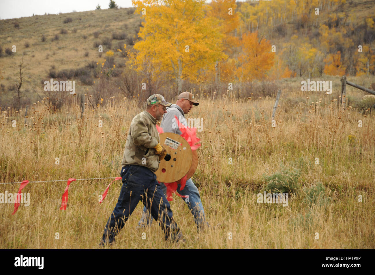 The USDA Wildlife Services responds to predator attacks on livestock at ...