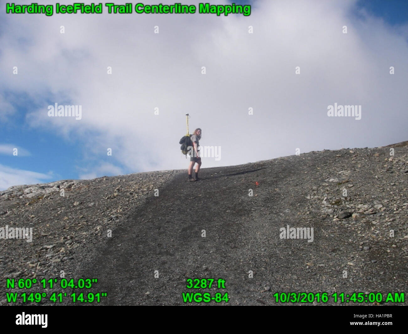 Kenai fjords harding icefield trail hi-res stock photography and images ...