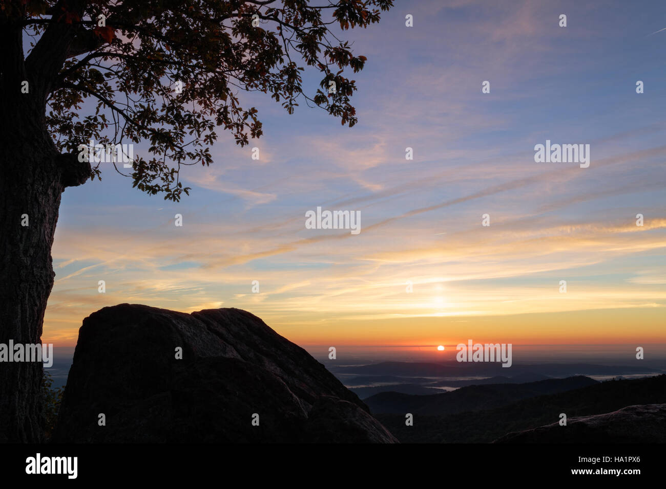 A series of photographs documenting the changing autumn leaves during ...
