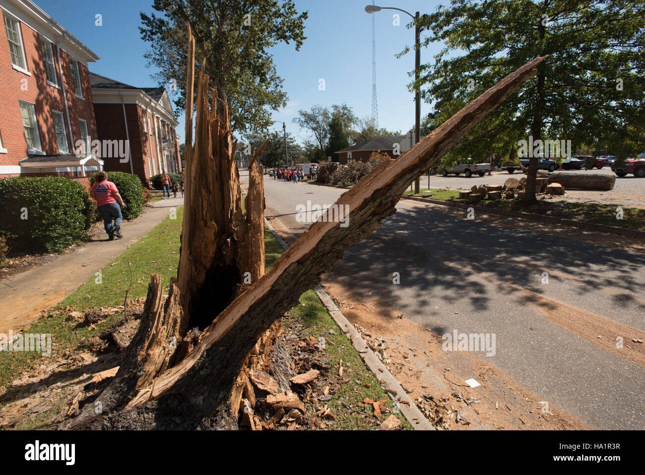 The USDA supports recovery efforts in the aftermath of Hurricane ...