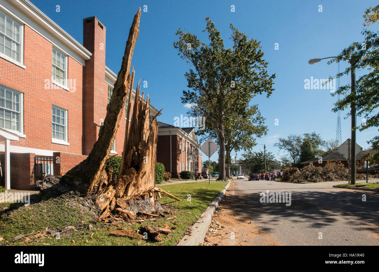 The USDA's response to Hurricane Matthew's aftermath, focusing on ...