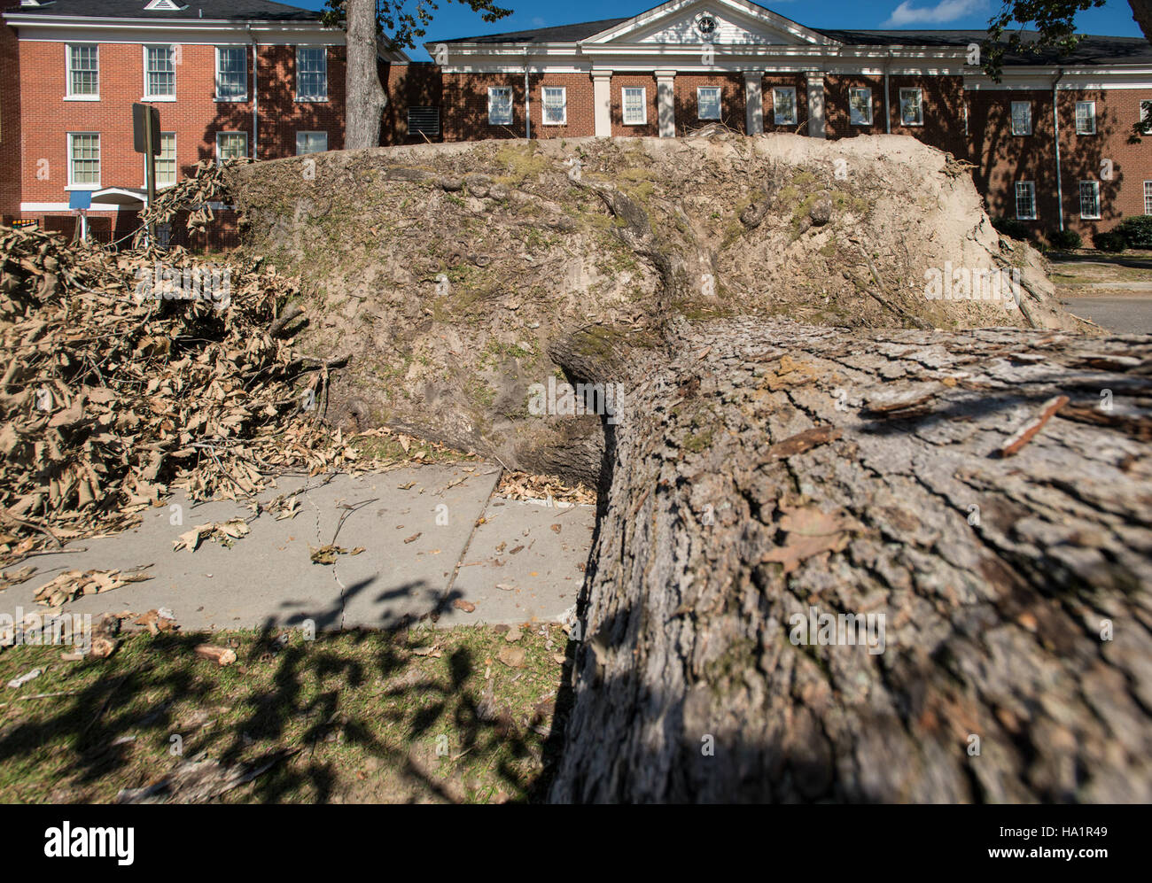 The aftermath of Hurricane Matthew, showing floodwaters and a toppled ...