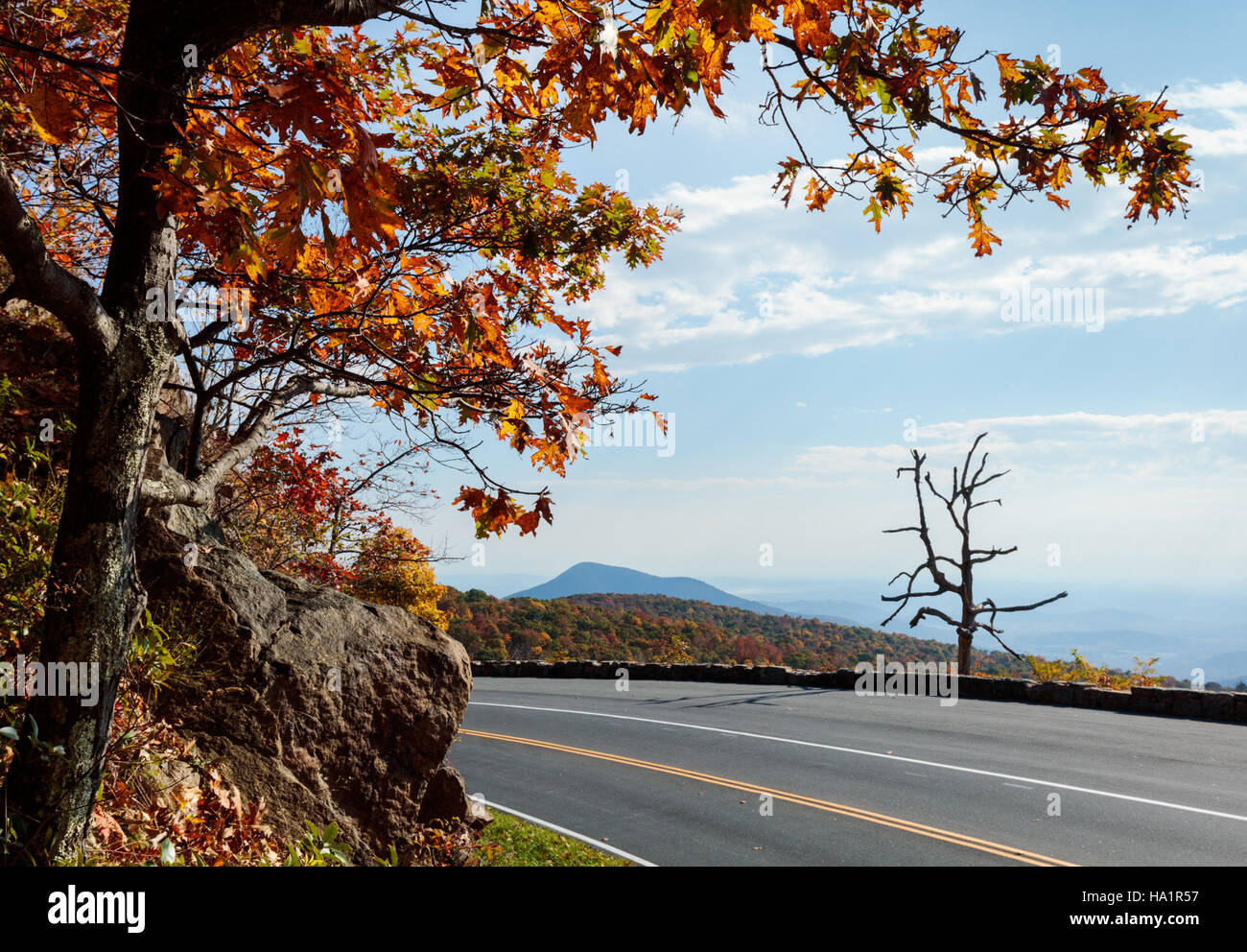 A collection of images captures the vibrant fall colors during the week ...