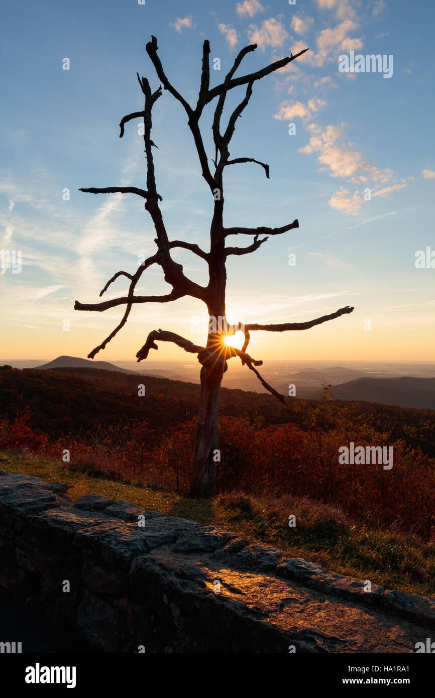 A stunning view of the fall sunburst at Little Devil Stairs, capturing ...
