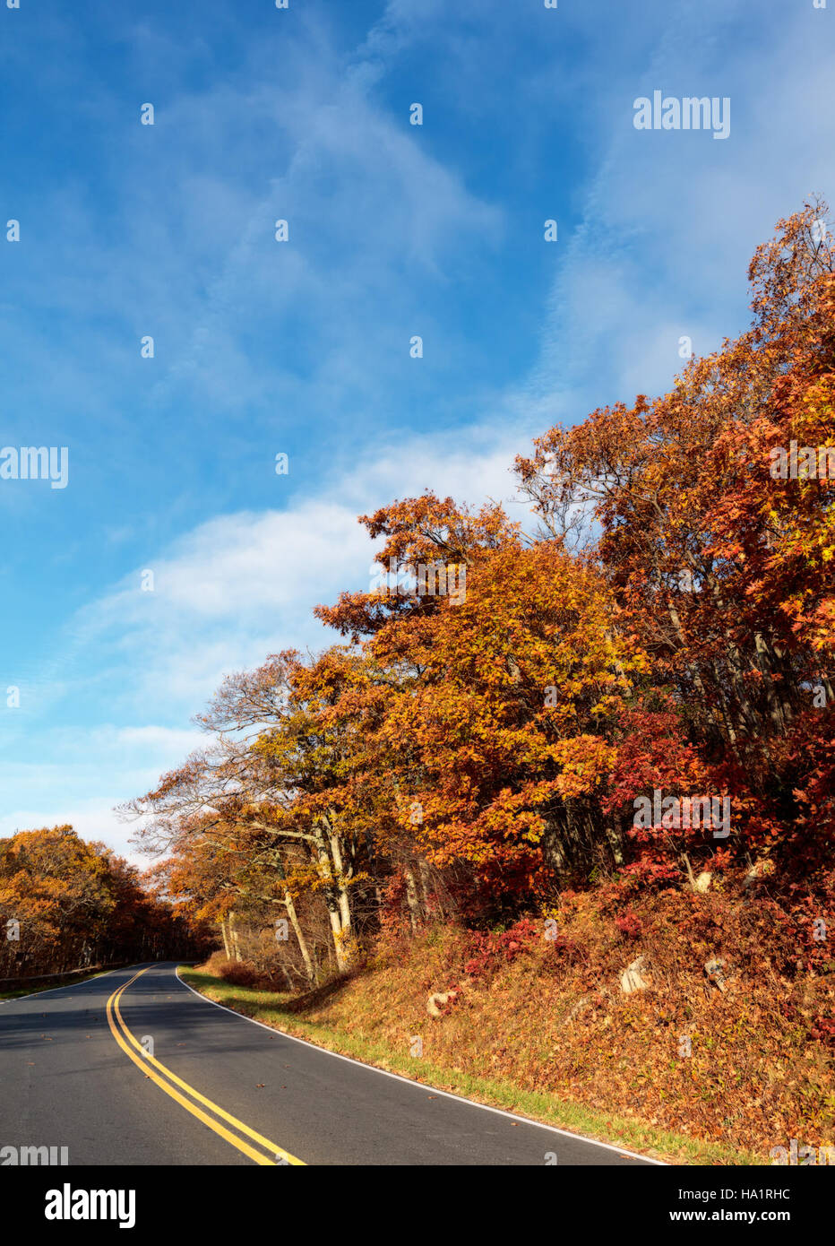 The image showcases the vibrant colors of late fall in Shenandoah ...