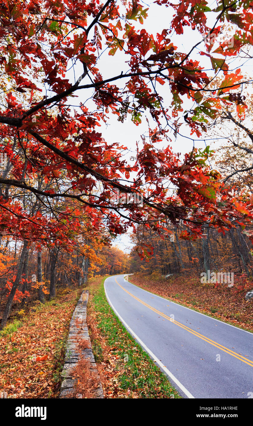 Late fall in Shenandoah National Park showcases vibrant autumn foliage ...