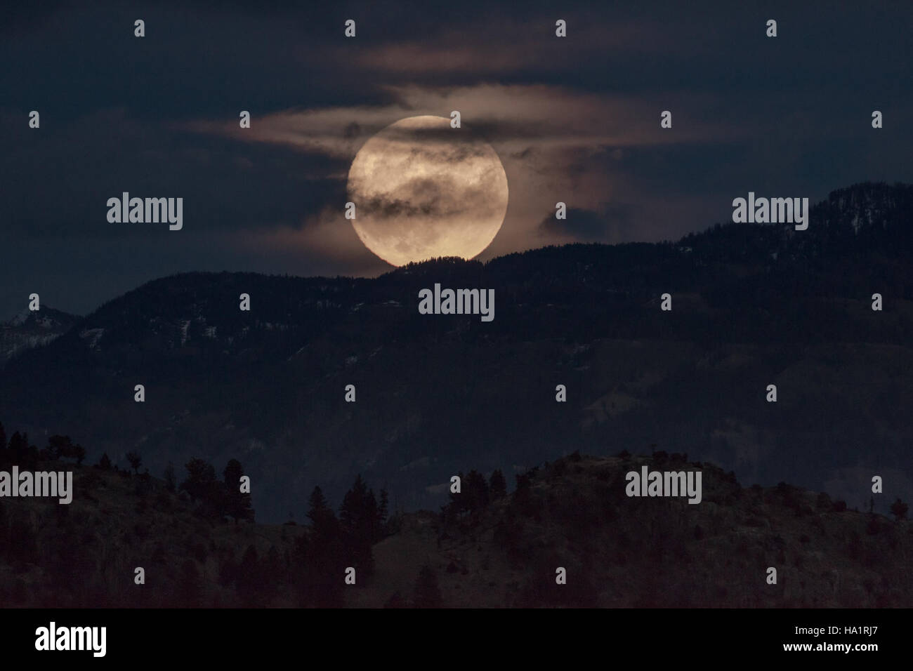 This image captures a stunning view of the Supermoon over the cliffs in ...