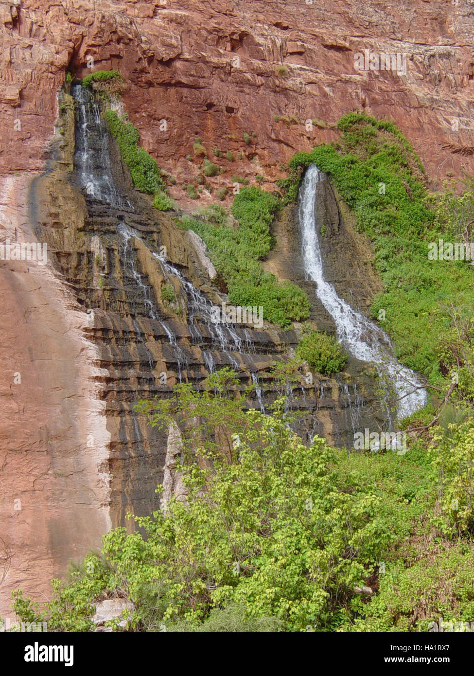 This image showcases Vasey's Paradise, a natural spring located within the Grand Canyon National ...