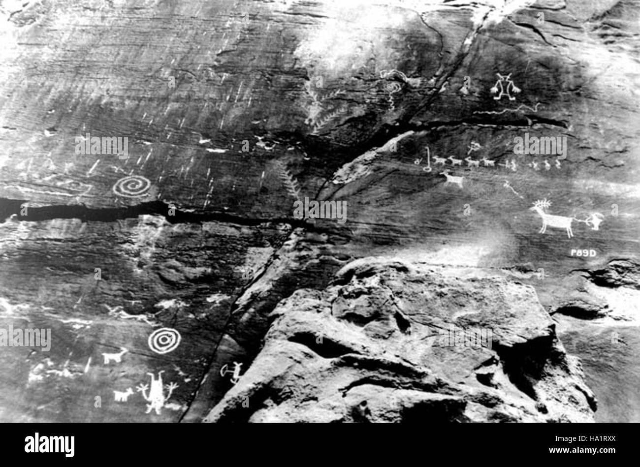 The Grand Canyon National Park, established in 1919, is home to ...