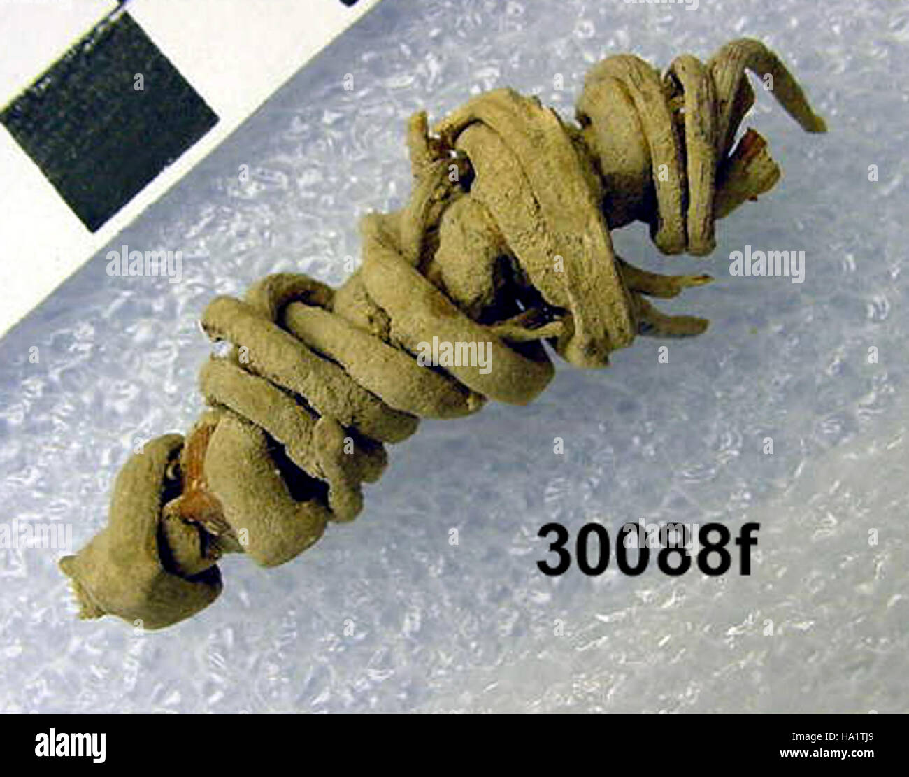 The Split-Twig Figurine, housed at Grand Canyon National Park, is a ...