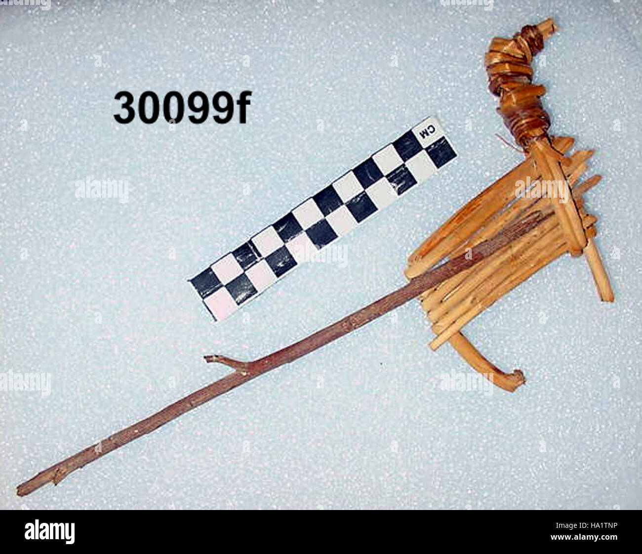 The Split-Twig Figurine, a significant artifact found at Grand Canyon ...