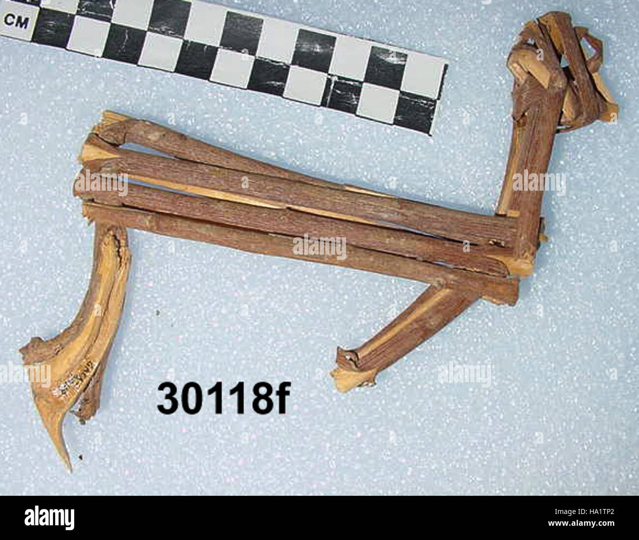 The Grand Canyon National Park features a Split-Twig Figurine, an ...