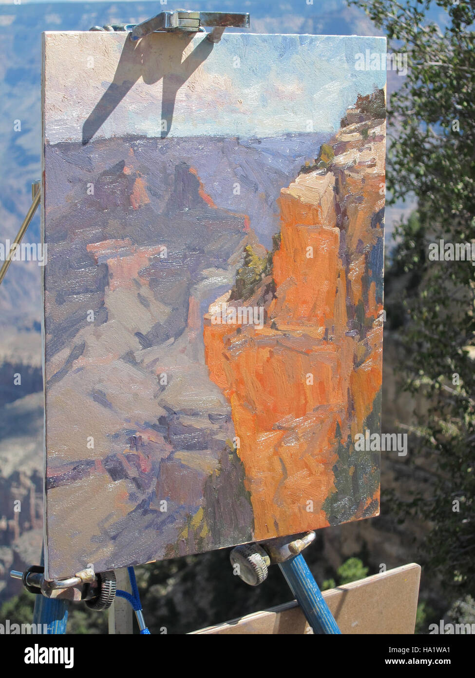This image from the 2011 Grand Canyon Celebration of Art captures a ...