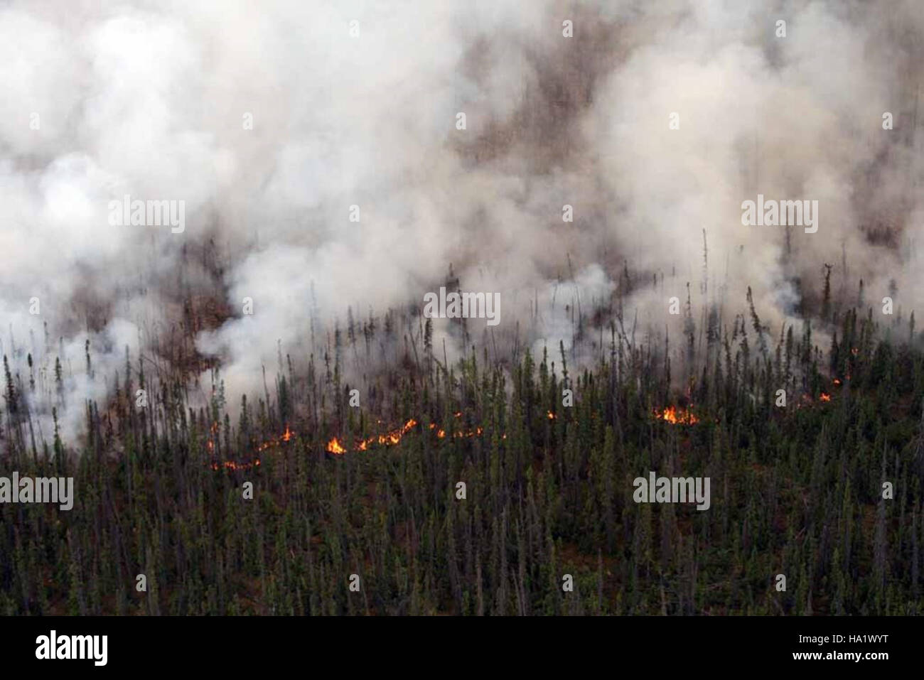 A photo documenting the Chakina Fire in an Alaskan national park ...