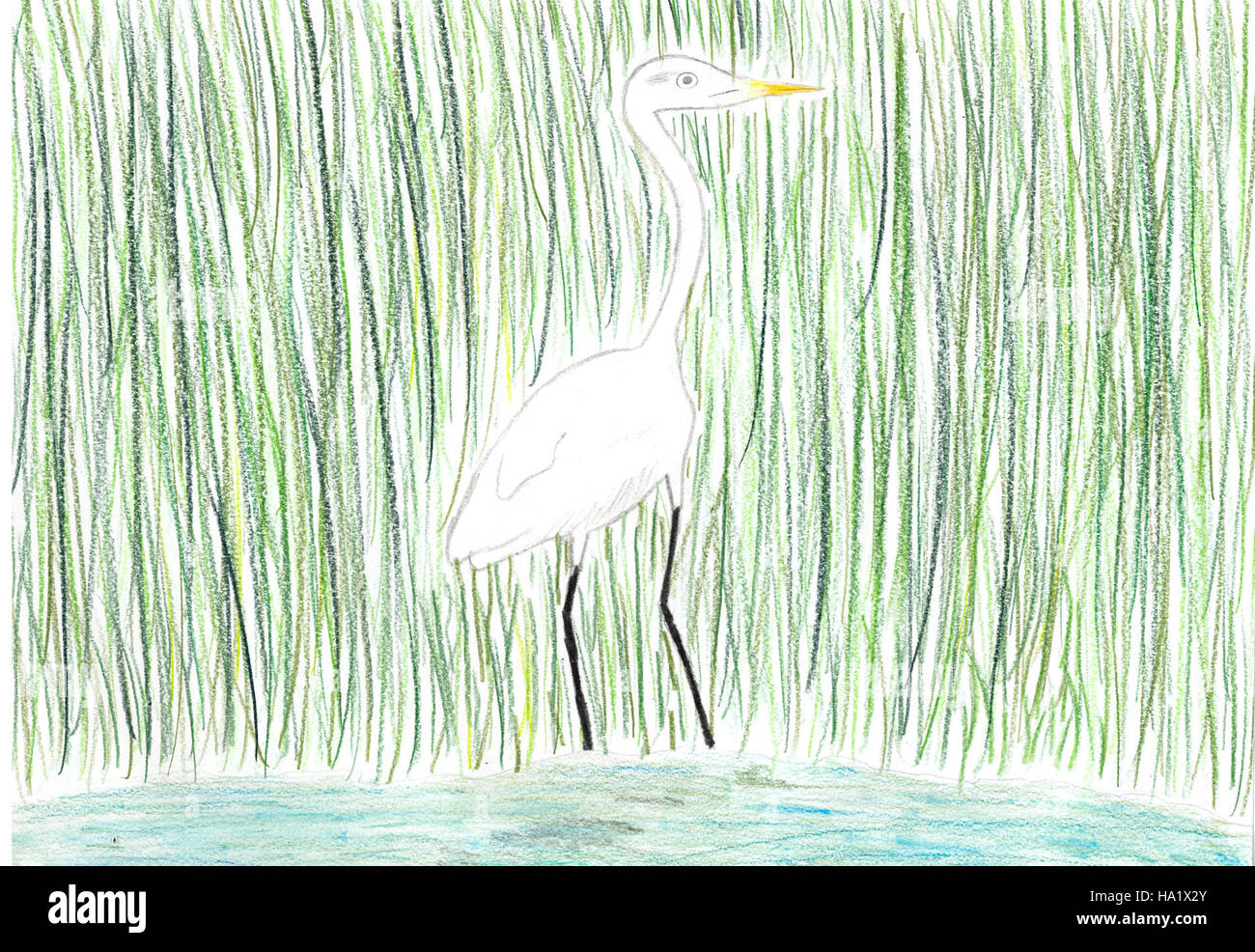 Abby M, a ranger at Assateague National Park, participates in ...