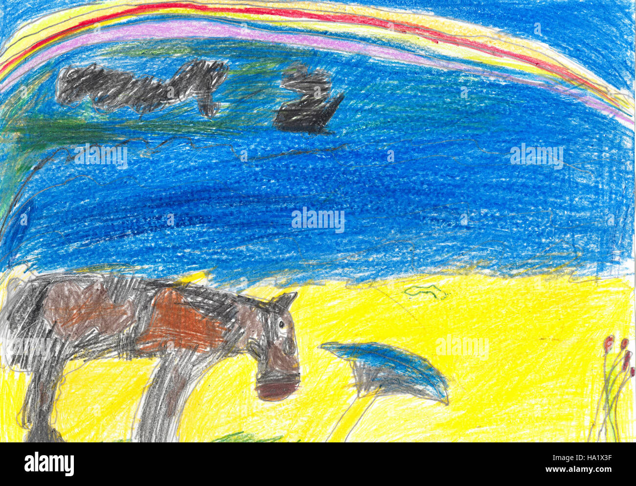 Amith hi-res stock photography and images - Alamy