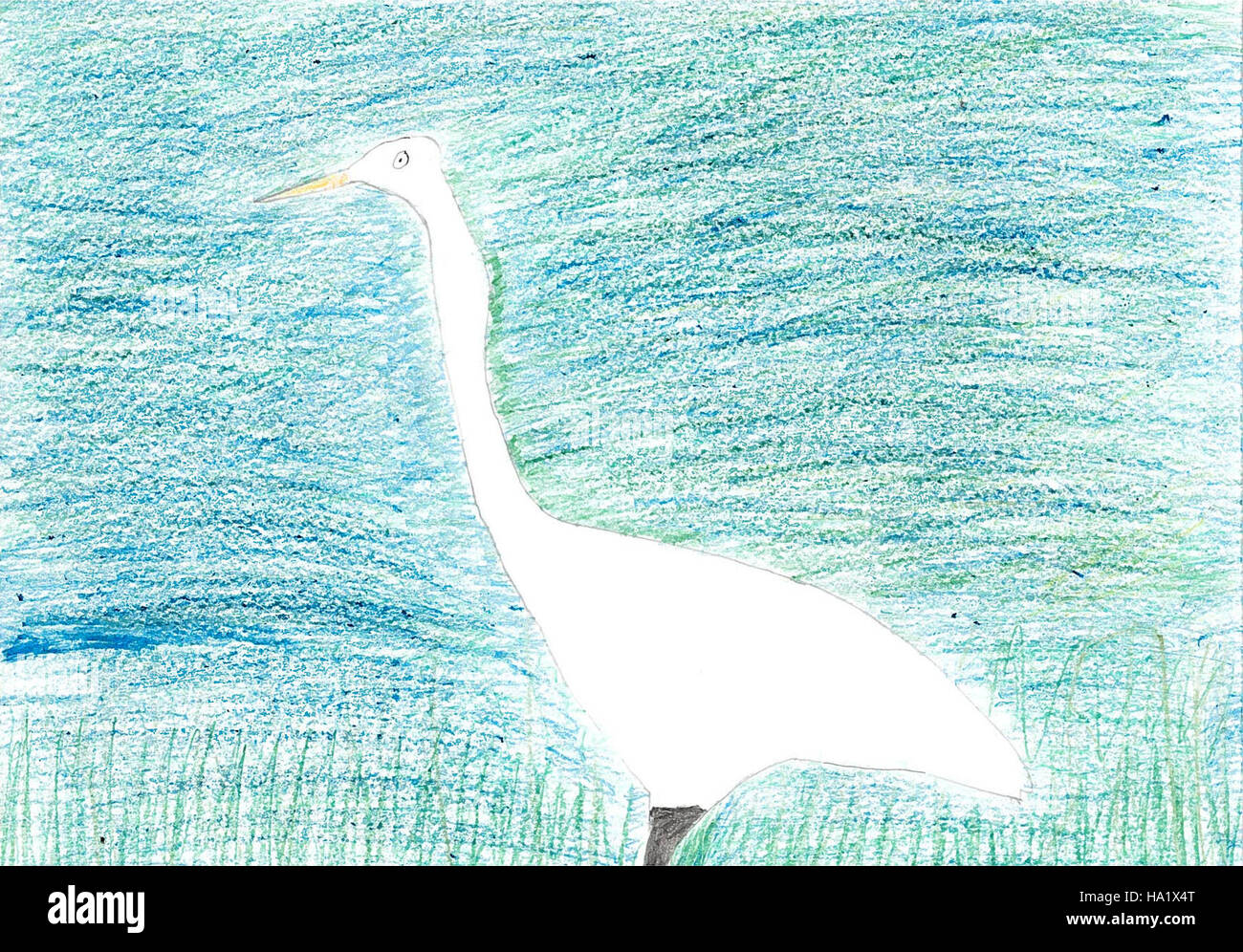 Jordan W, a park ranger, is featured at Assateague Island National ...