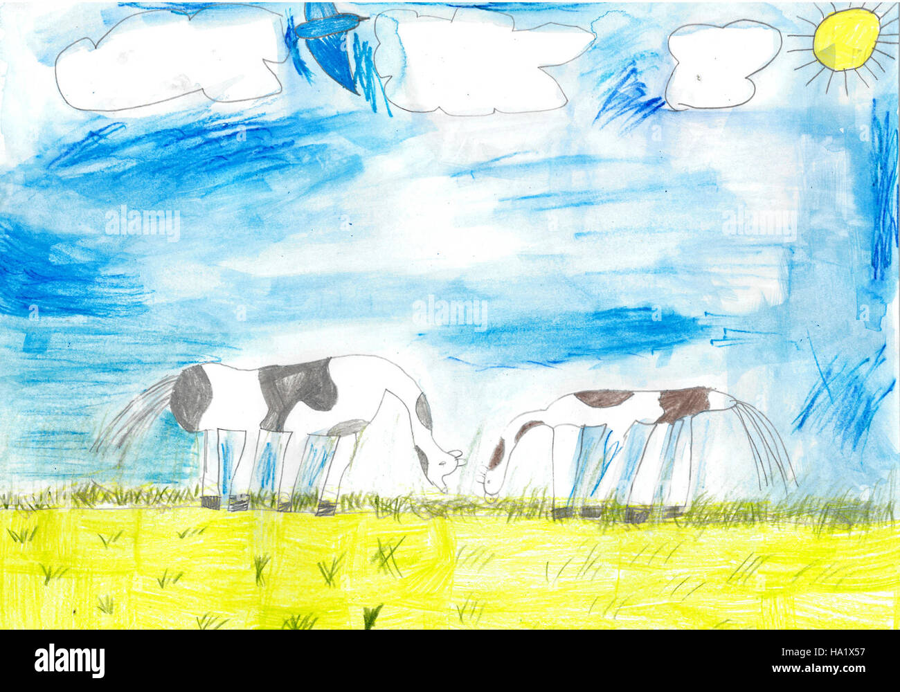 Natalie C., a park ranger at Assateague National Seashore, leads ...