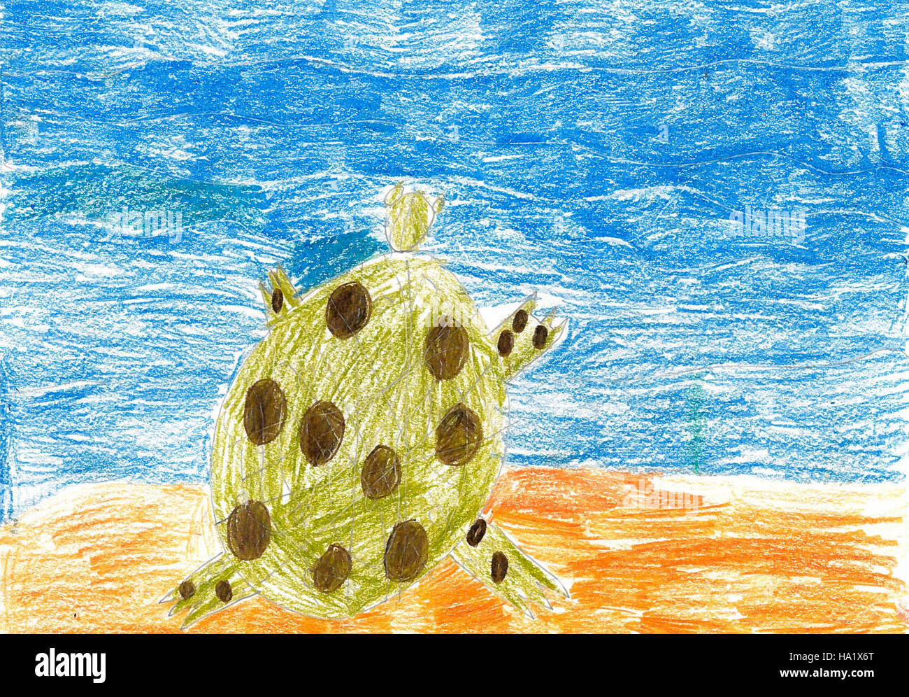 assateaguenps 16149547602 Lilly P Stock Photo - Alamy