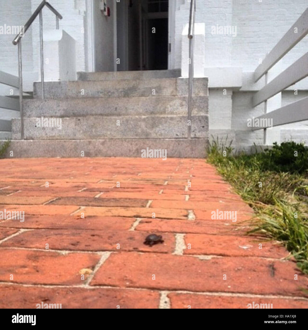 The Cape Hatteras National Seashore, part of the National Park Service ...