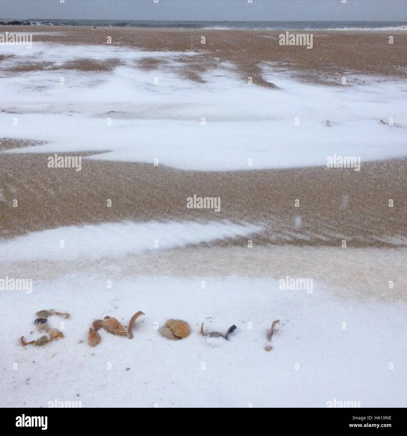 A snow-covered landscape at Cape Hatteras National Seashore showcases ...