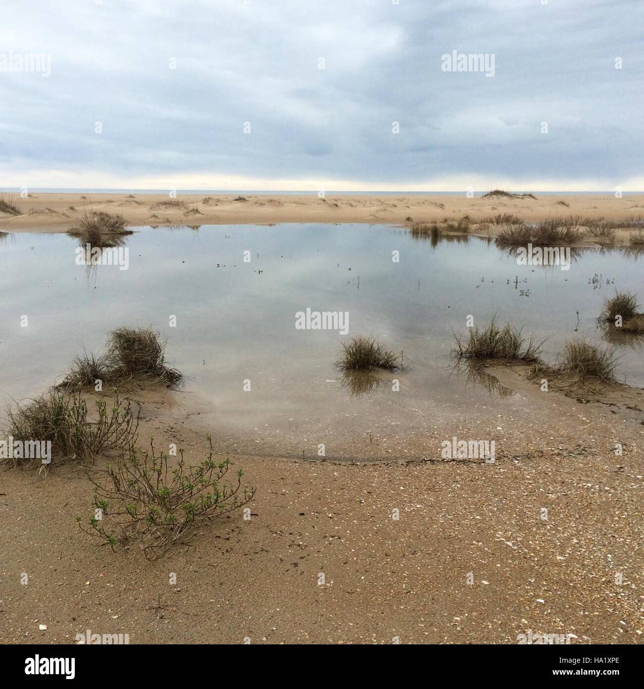 At Cape Hatteras National Seashore, a tranquil pool of water reflects ...