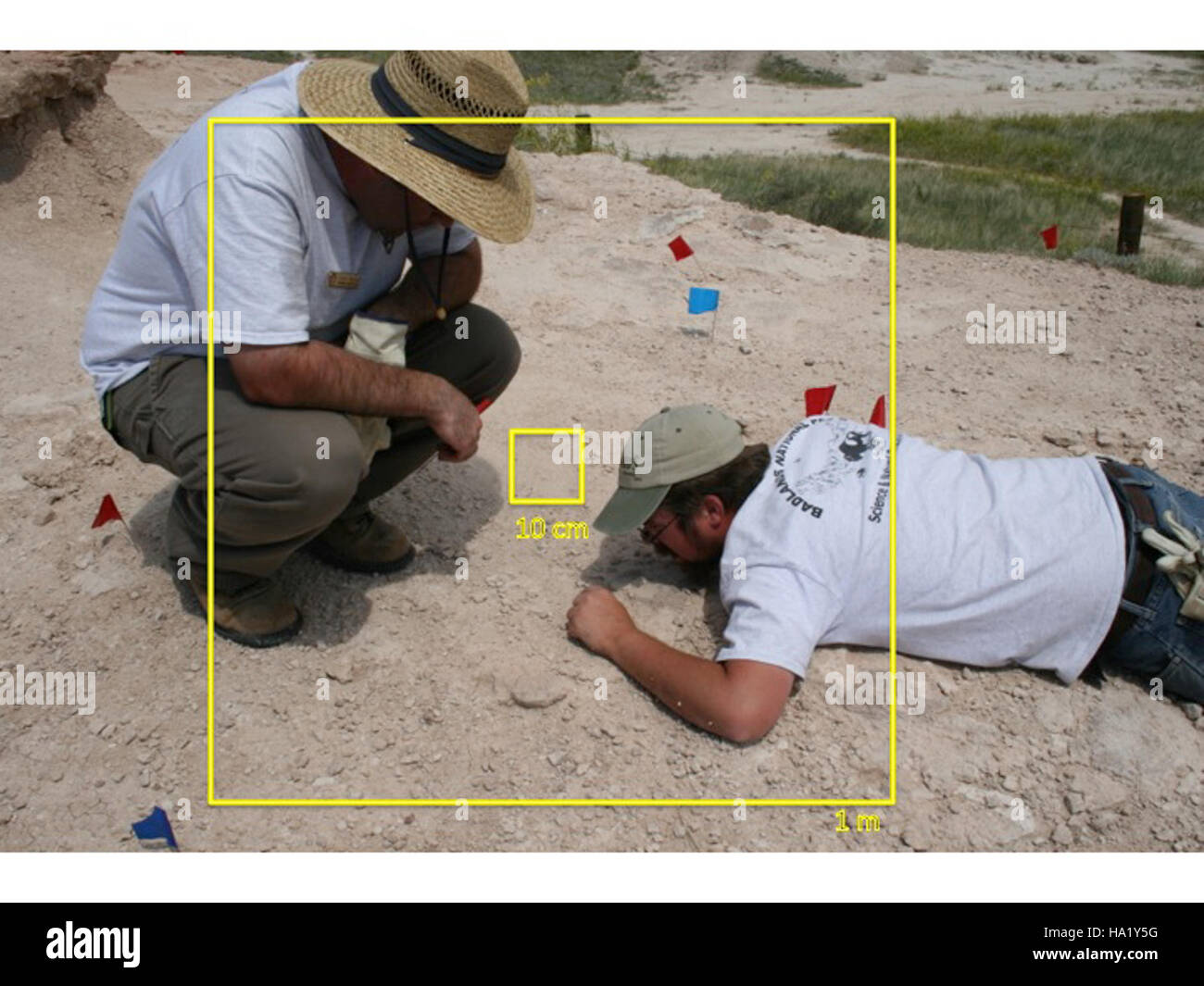 Paleontologists at Badlands National Park are seen working at the Saber ...