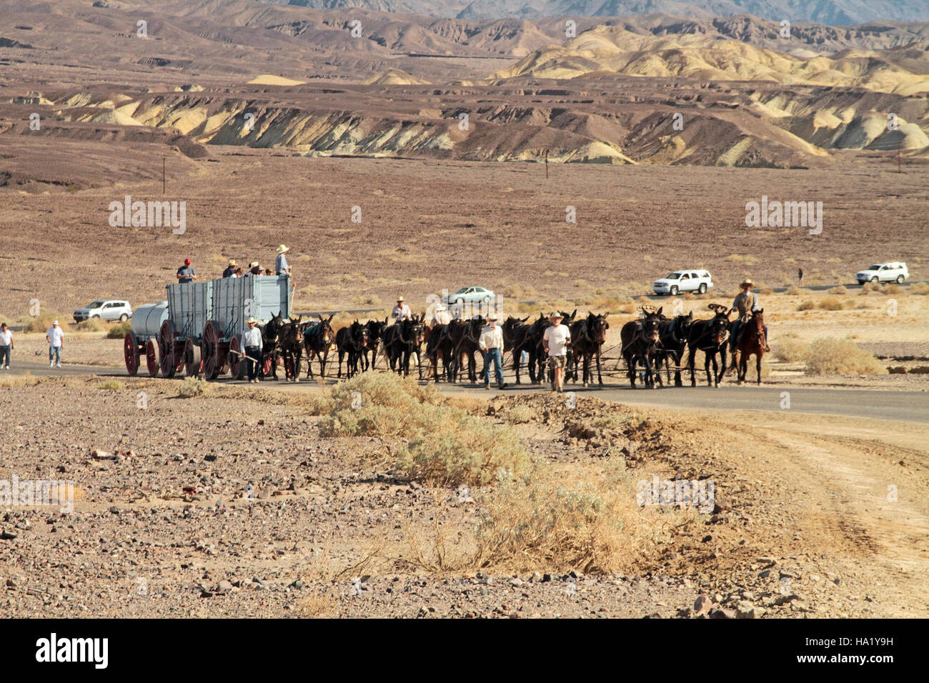 This photograph captures the historic *Twenty Mule Team* wagons heading ...