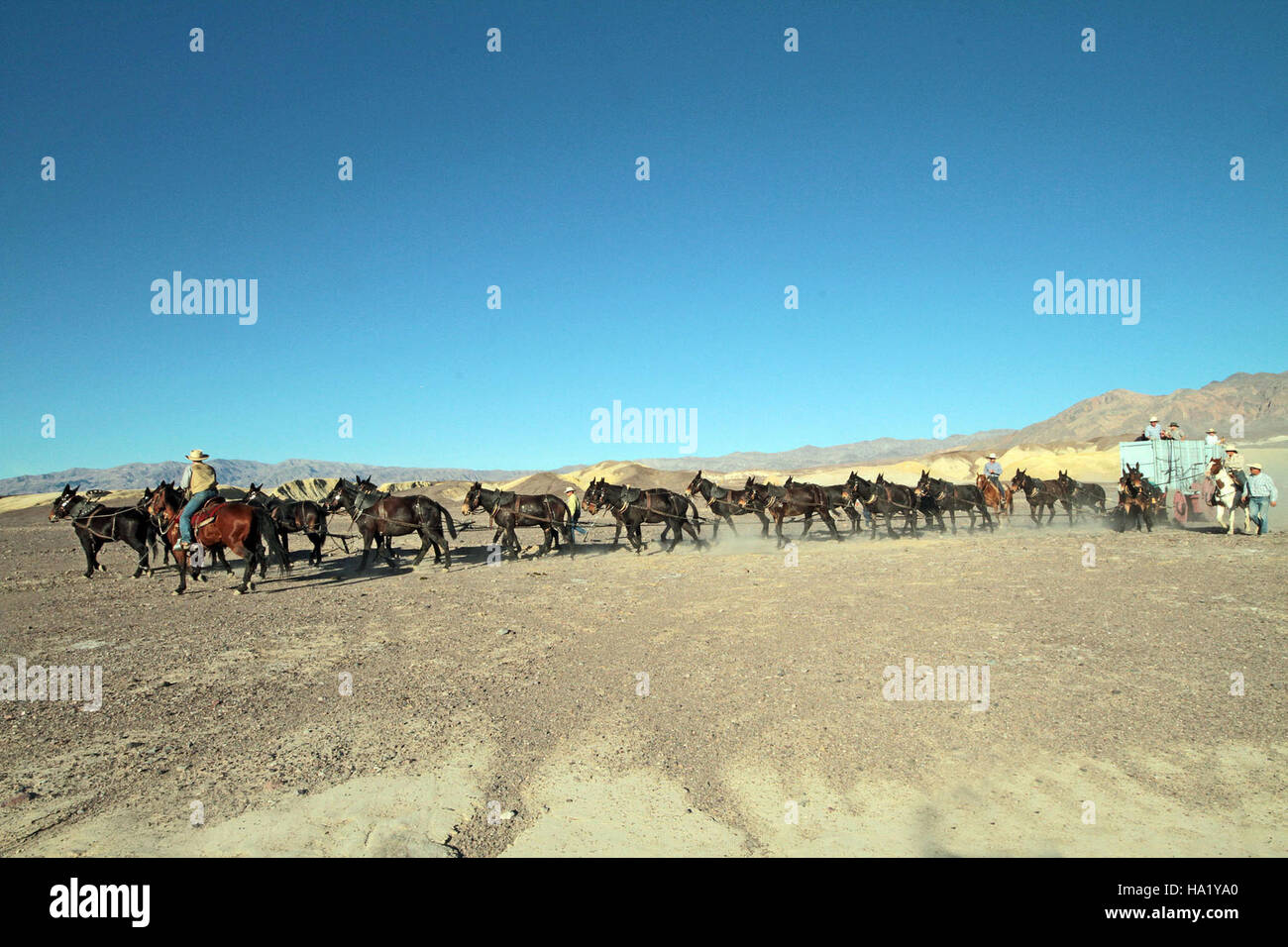 20 mule team borax hi-res stock photography and images - Alamy