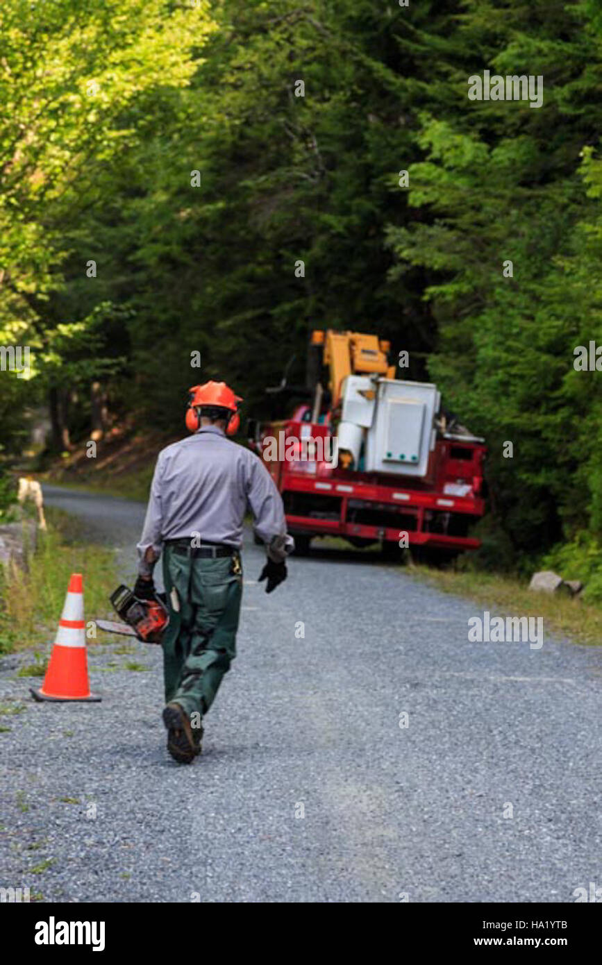 The American Youth Conservation Corps (AYCC) and Trail Crew participate in trail maintenance and ...
