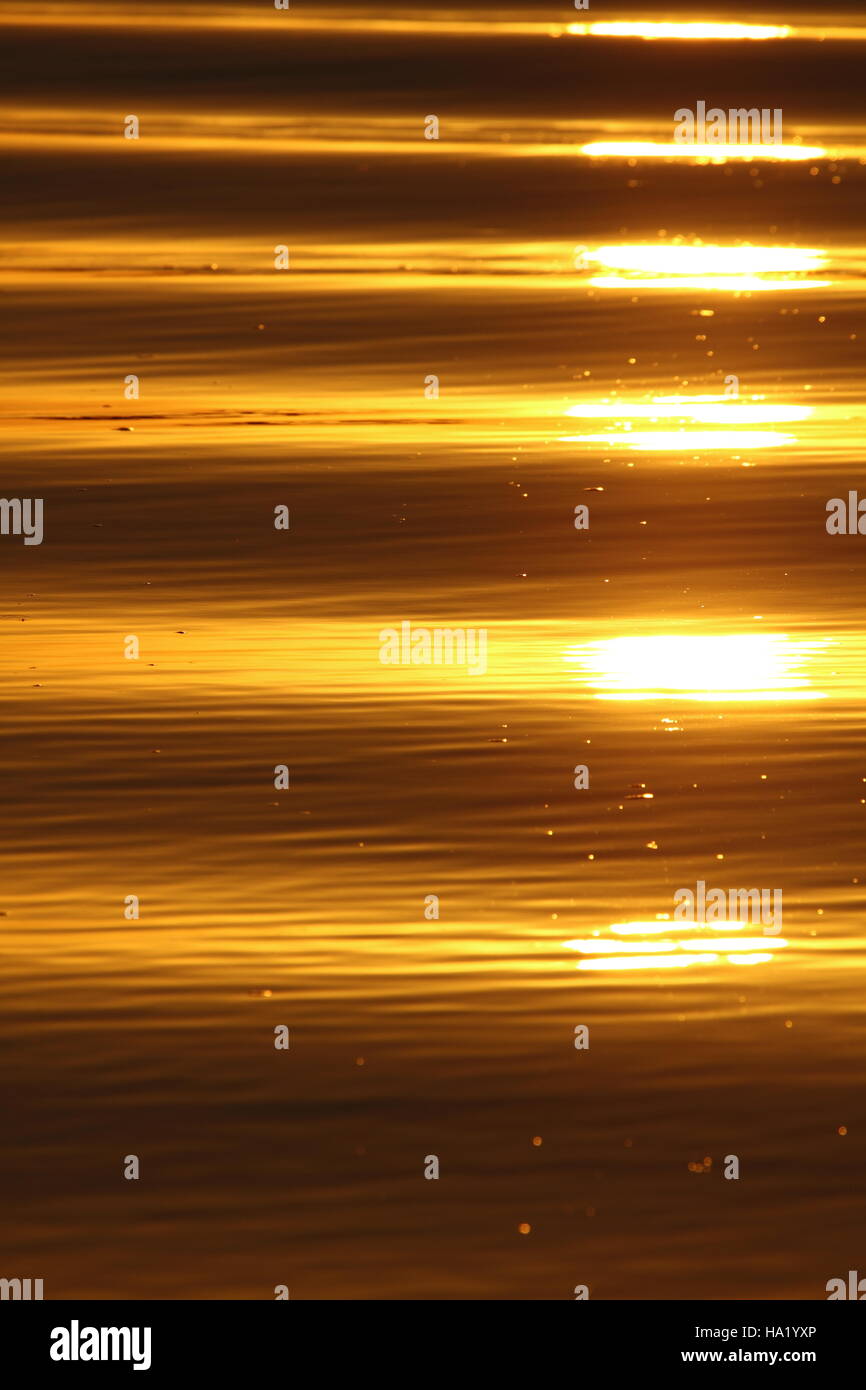 Golden light on small ripples on Pumicestone Passage off Golden Beach ...