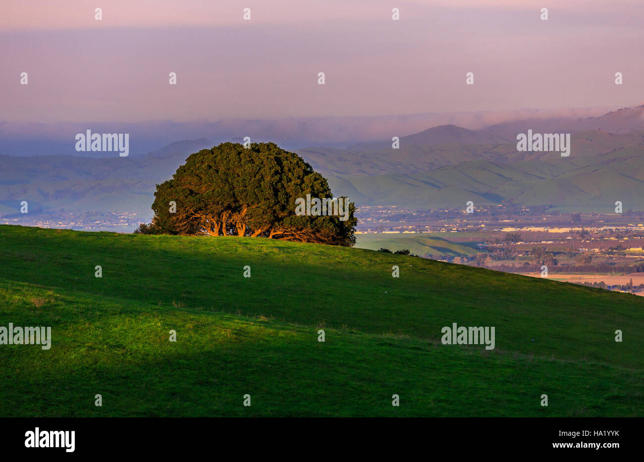 Juan bautista de anza national historic trail hi-res stock photography ...