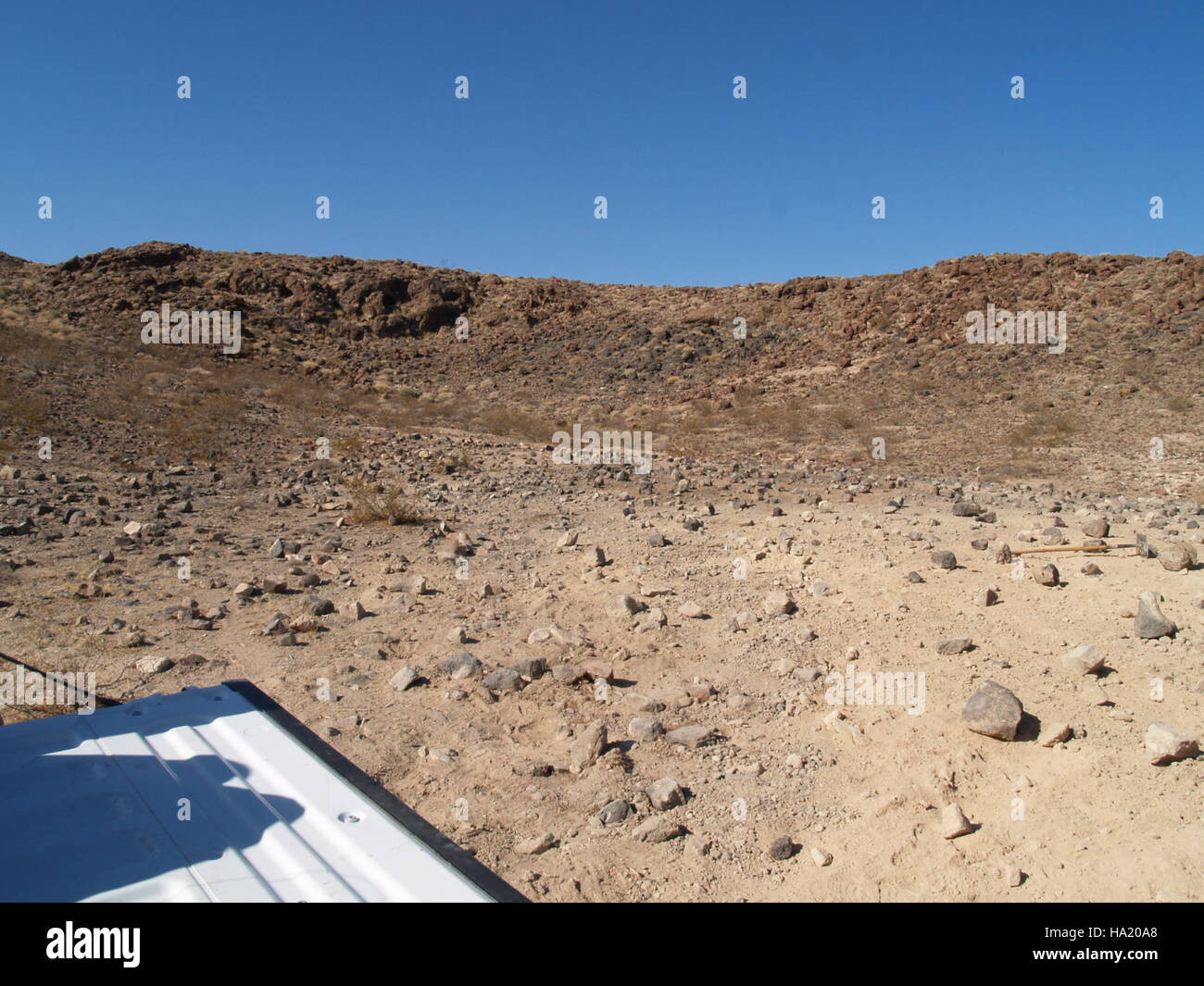 Volunteers at Lake Mead National Recreation Area have successfully ...