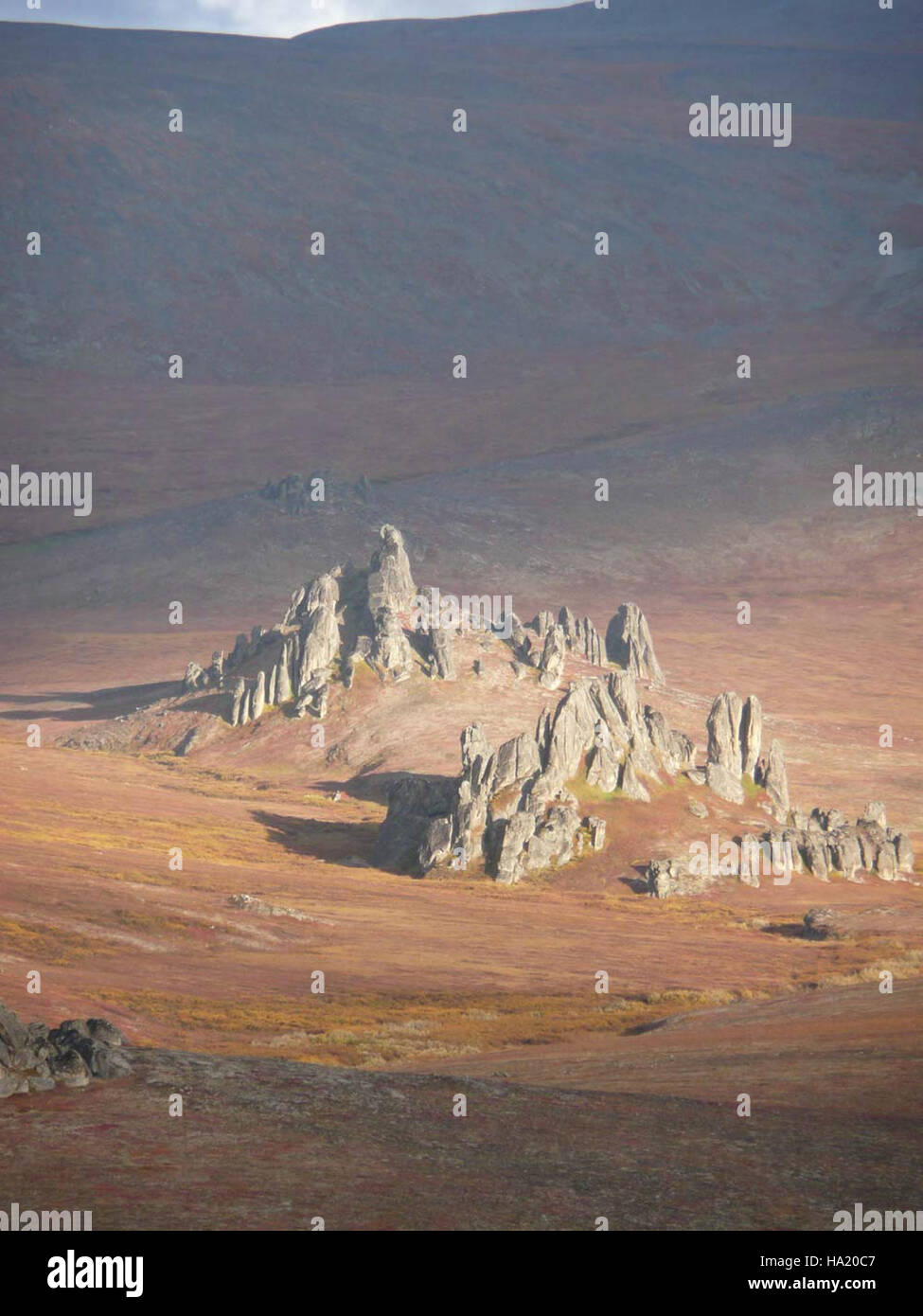 The Serpentine Tors in the Bering Land Bridge National Park showcase ...