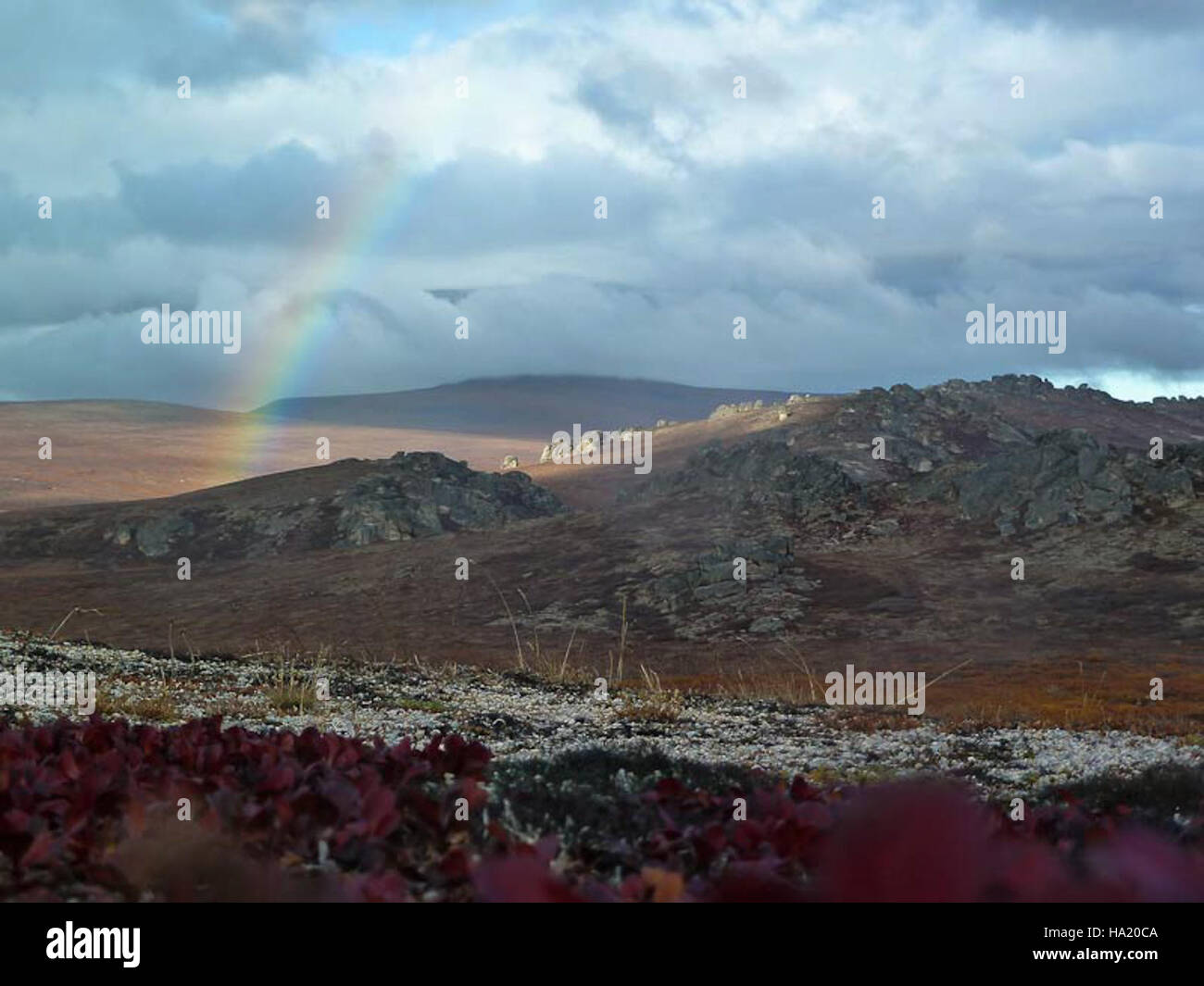 The Bering Land Bridge National Park showcases unique landscapes ...