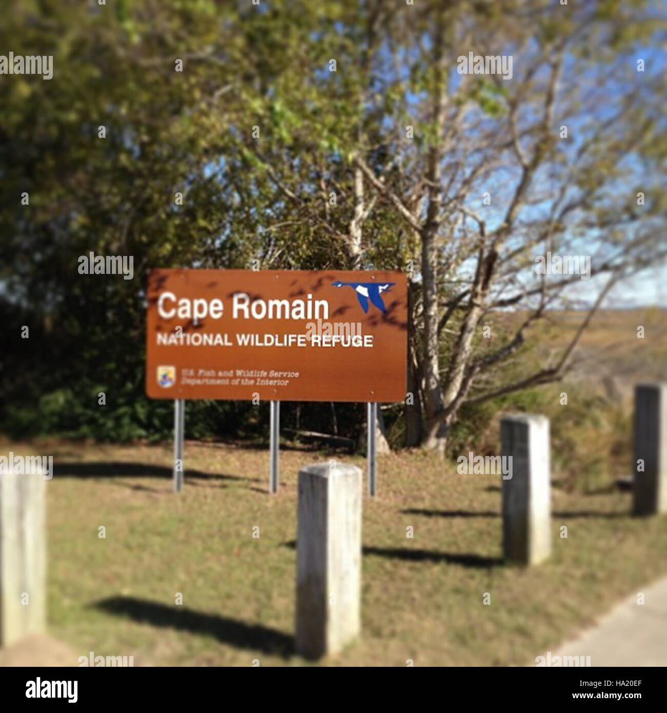 A successful day spent with the U.S. Fish and Wildlife Service (USFWS ...