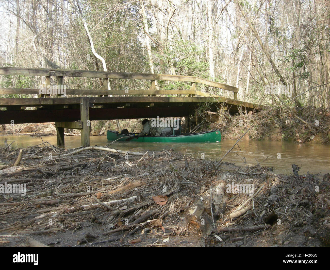 The Kingsnake Bridge at Congaree National Park offers a scenic crossing ...