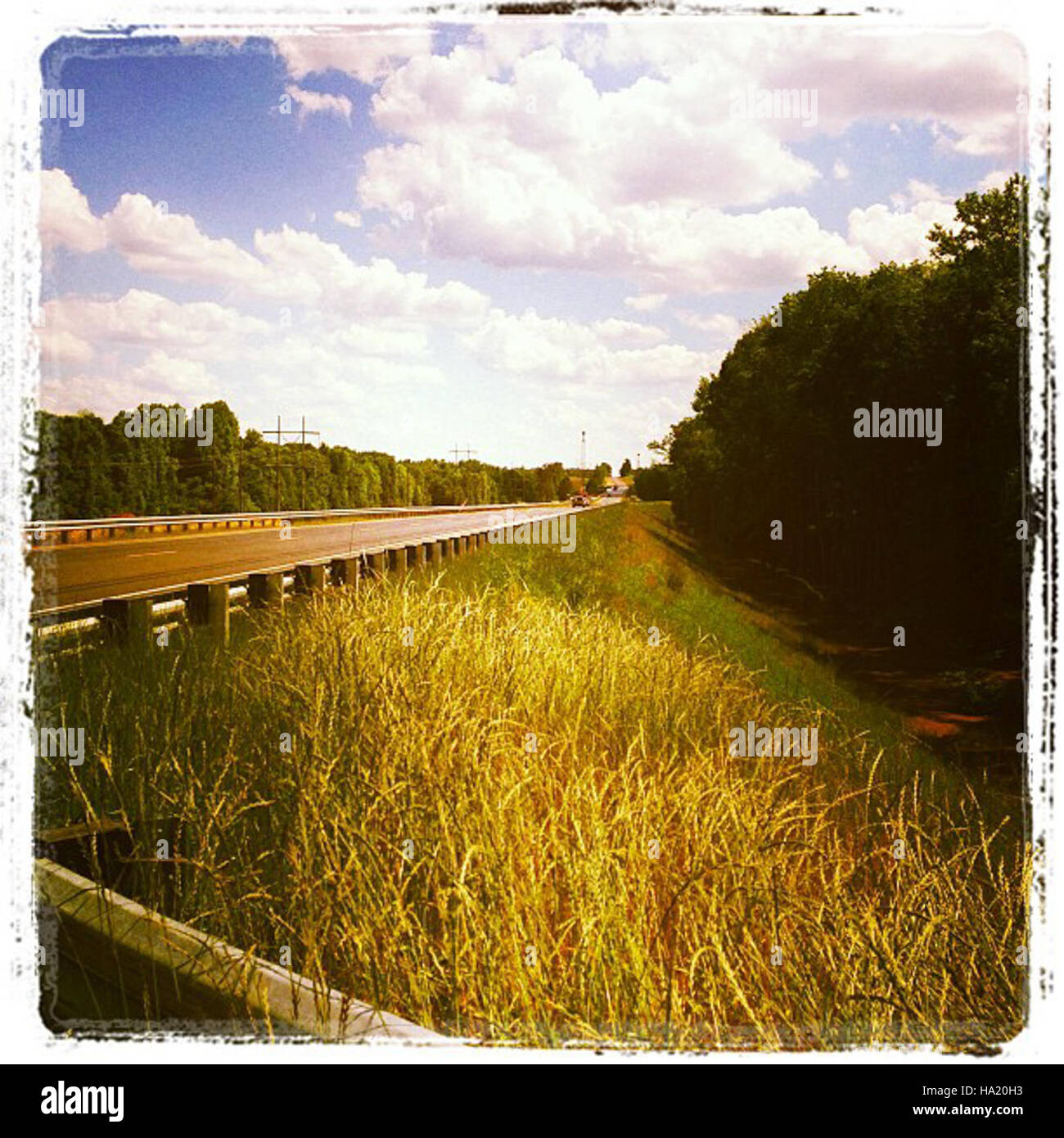 congareenps 8871536363 Join rangers at the Hwy 601 bridge this Saturday ...