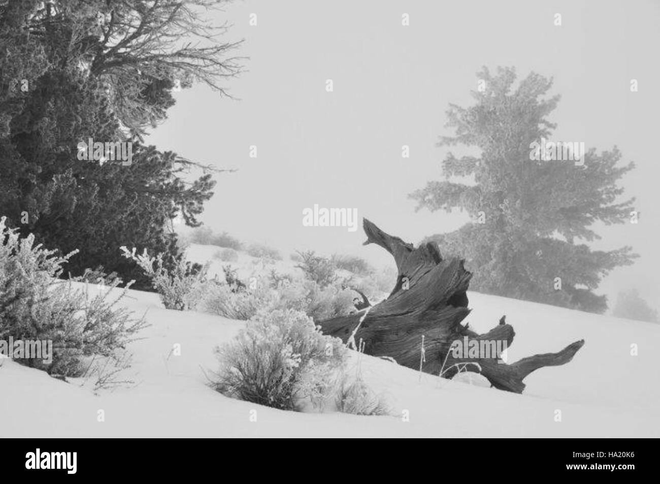 Dramatic landscape features rugged Black and White Stock Photos ...