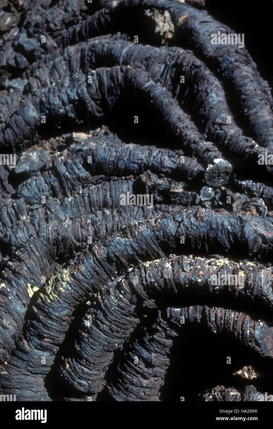 This image depicts the unique ropey pahoehoe lava formations at Craters ...