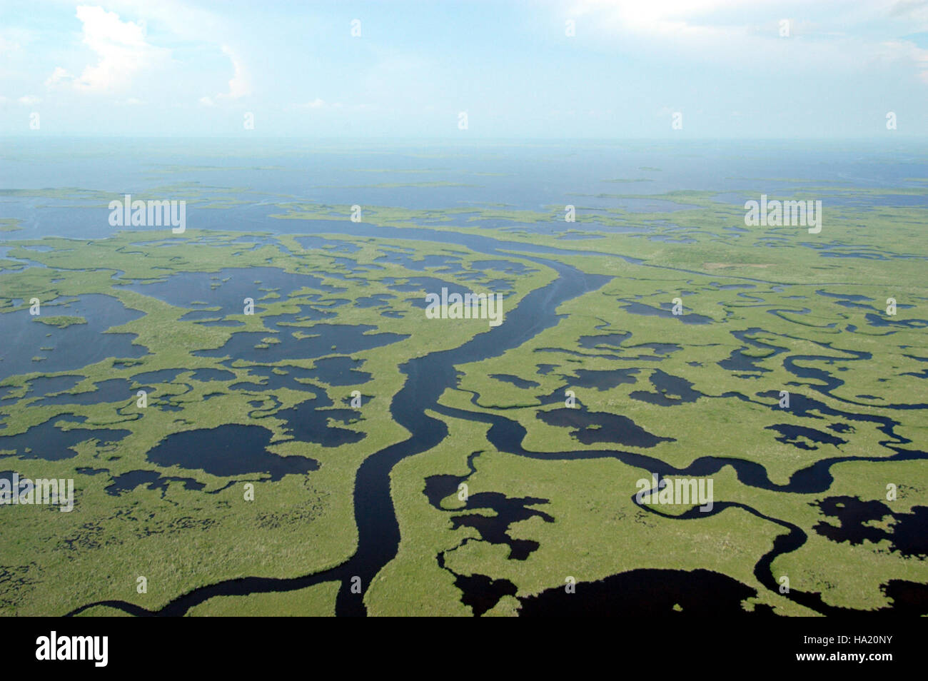The Lane River in Everglades National Park, an essential waterway that ...
