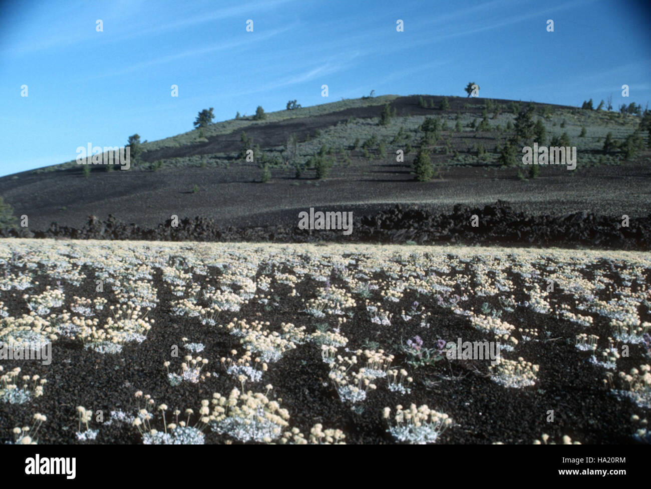 The Cinder Garden in Craters of the Moon National Park showcases unique ...