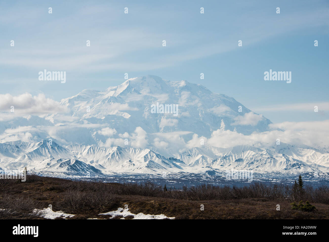 denalinps 14240628174 Denali Stock Photo - Alamy