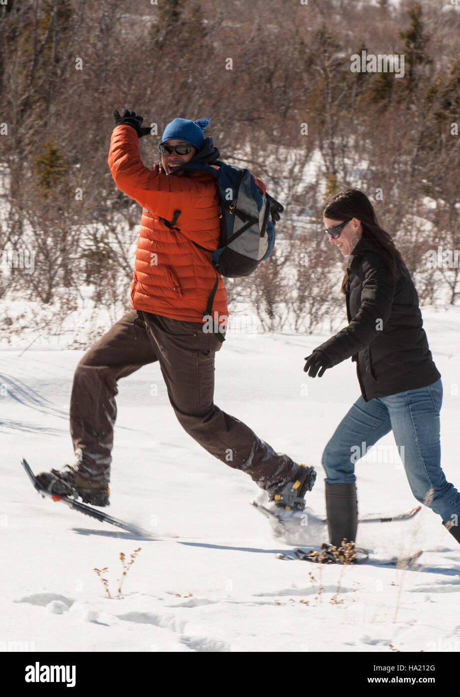 This image shows visitors on the high steps of Denali National Park ...