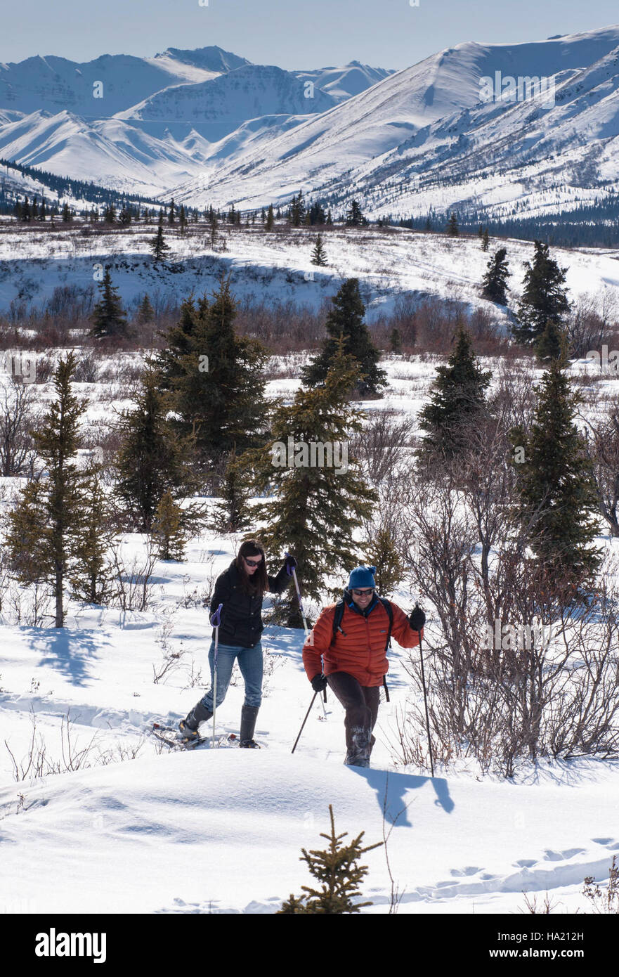 A snowshoe hike in Denali National Park, providing visitors with a ...