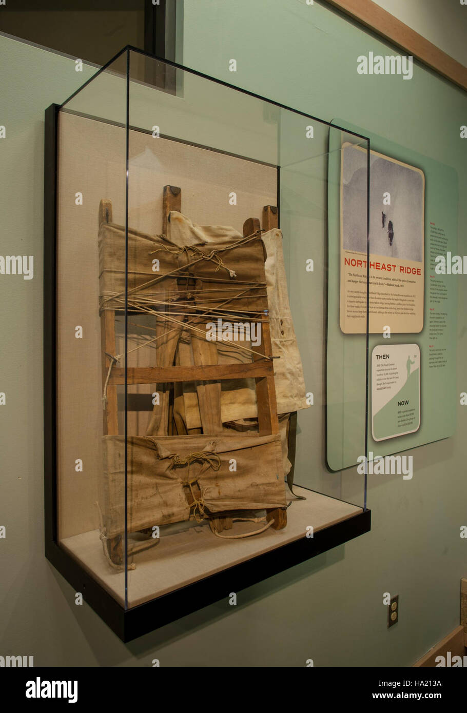 Packs of animals, including wolves and other species, play an essential ...